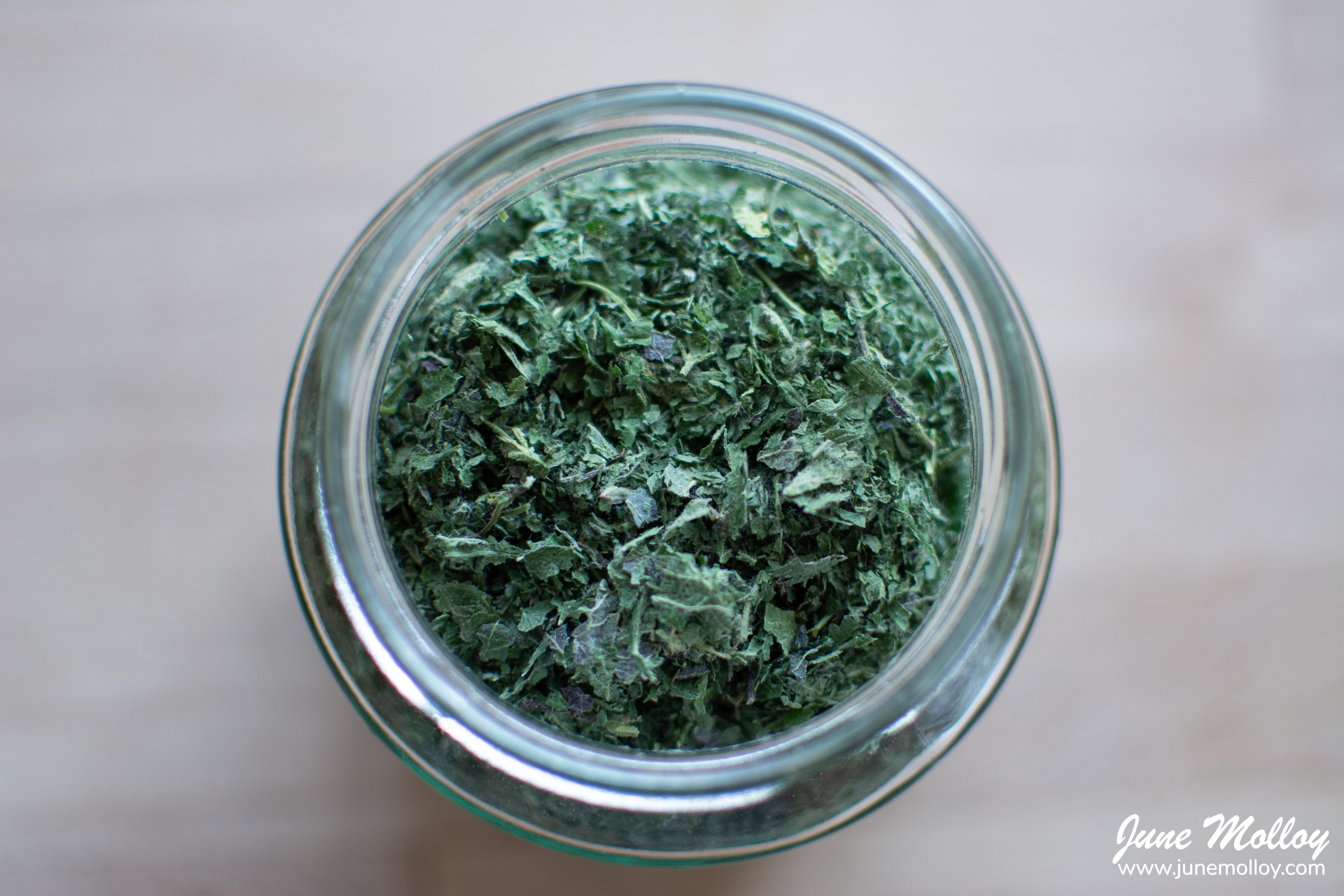 Homemade Nettle Tea – June Molloy