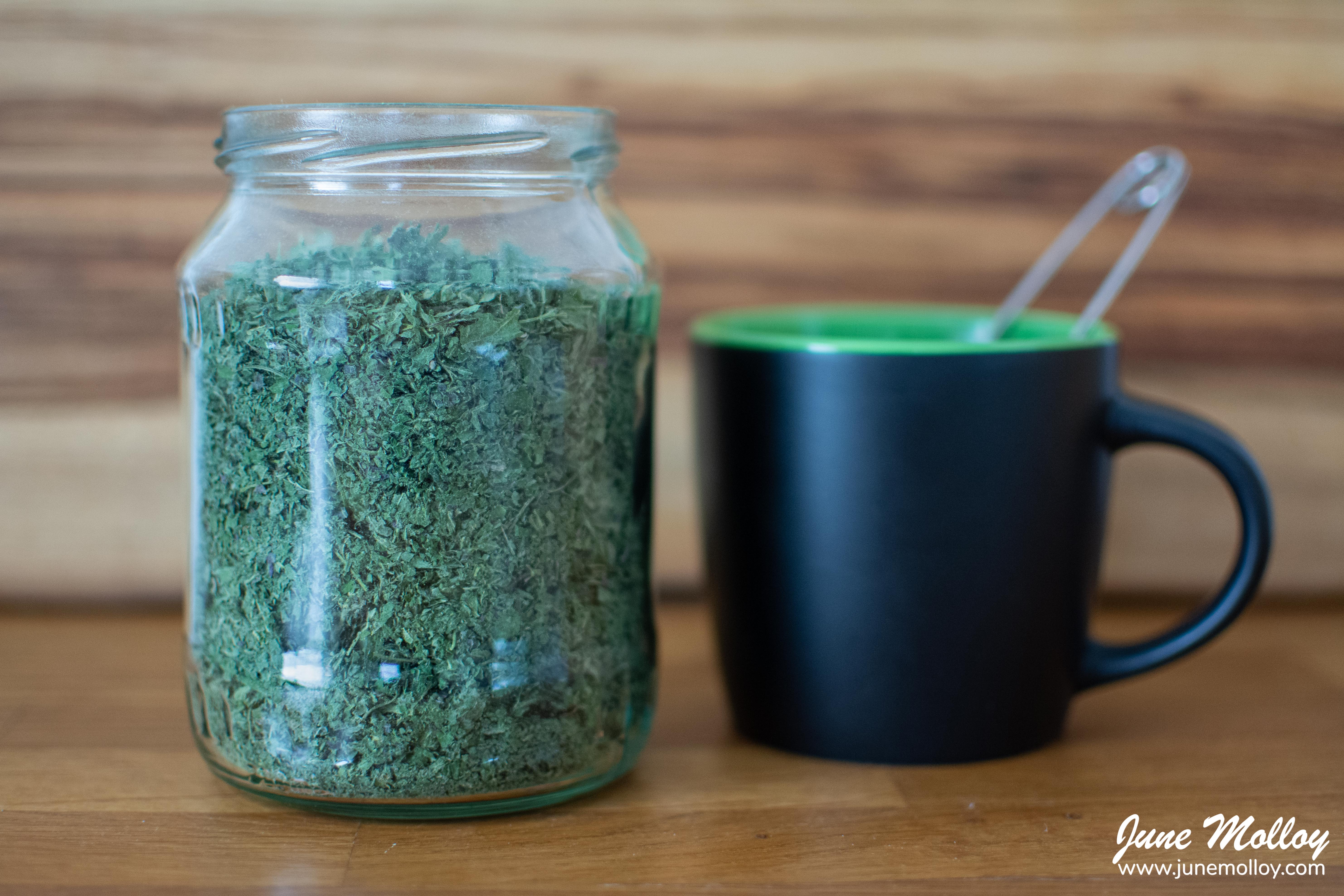 Homemade Nettle Tea – June Molloy